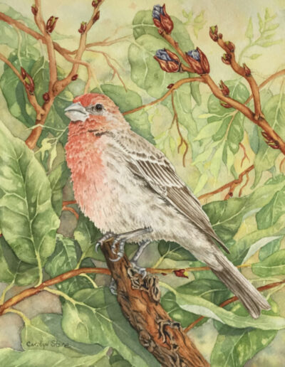 Carolyn Stone | London Community Artists